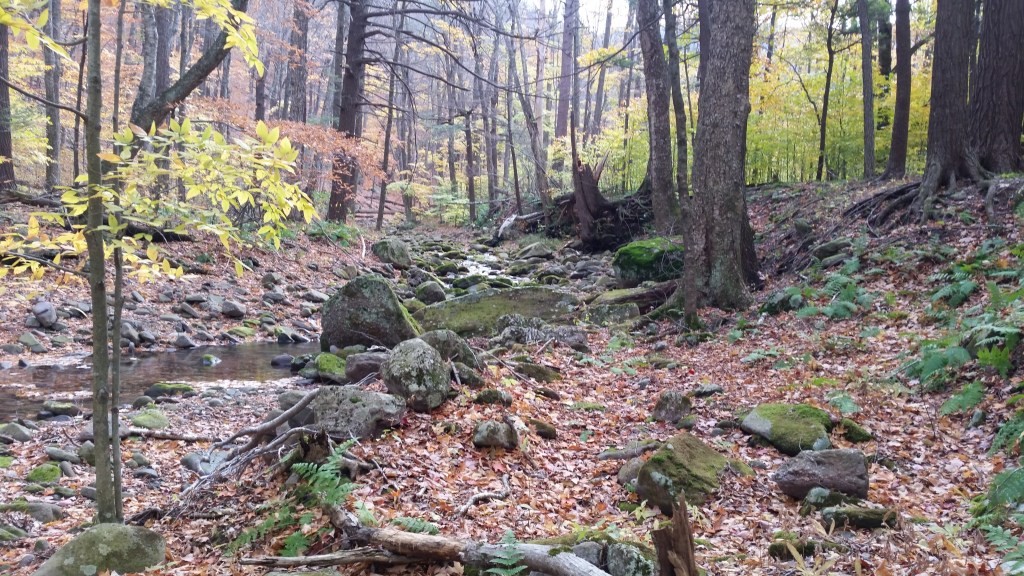 Searching for the Heart of the Southern Catskills – The Long Brown Path