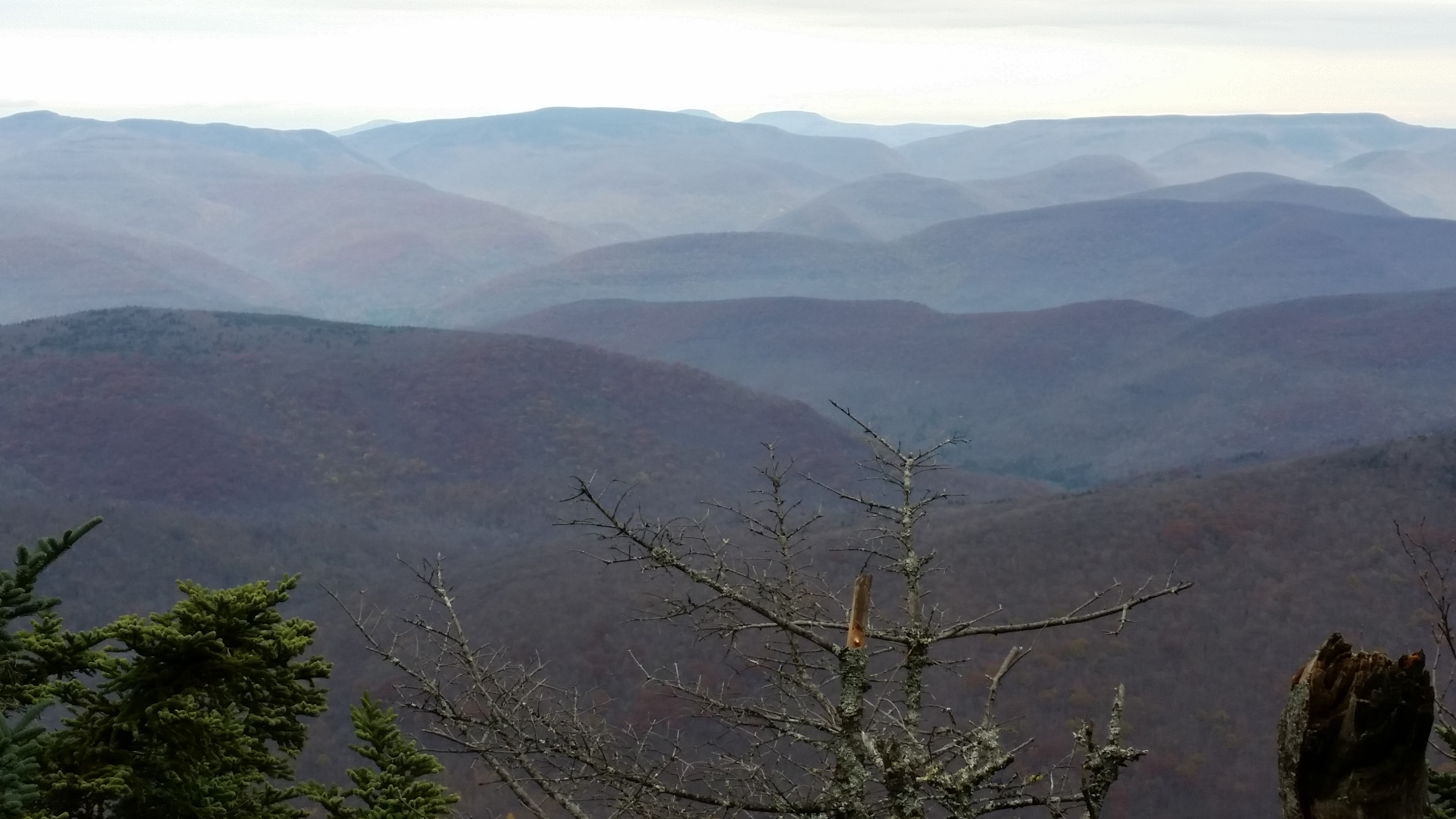 Searching for the Heart of the Southern Catskills – The Long Brown Path