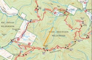 Searching for the Heart of the Southern Catskills – The Long Brown Path